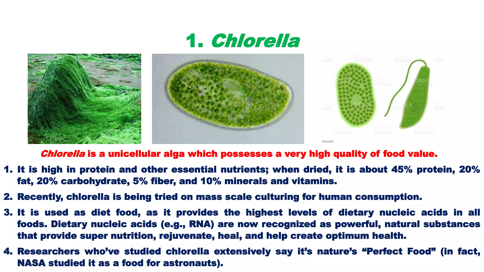 Algae as a Food | PPTX