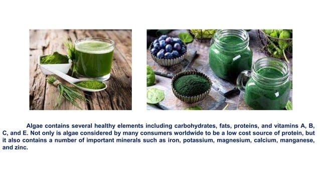 Algae as a Food | PPTX