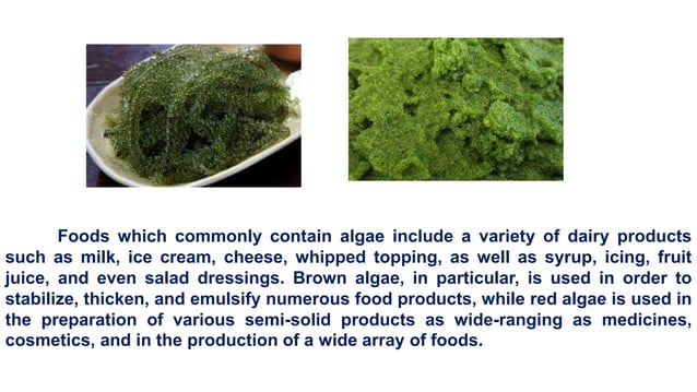 Algae as a Food | PPTX