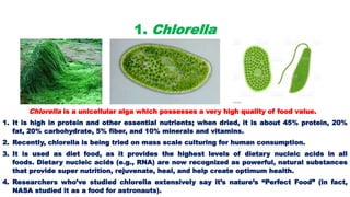 Algae as a Food | PPTX