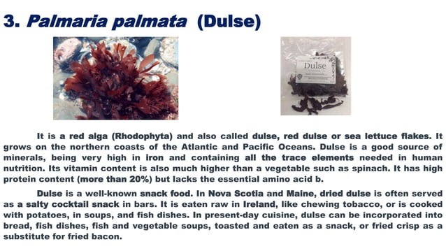 Algae as a Food | PPTX