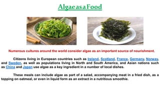 Algae as a Food | PPT
