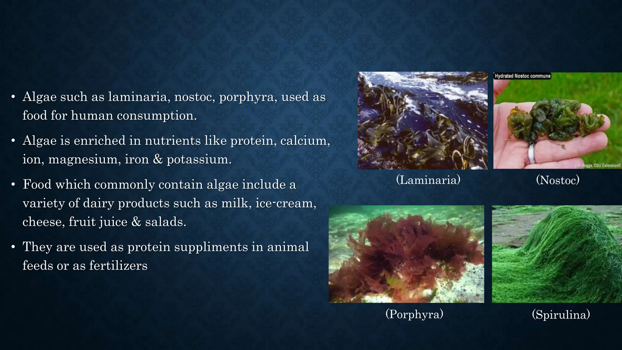 ALGAE_AS_A_FOOD.pptx