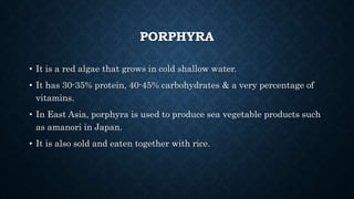 ALGAE_AS_A_FOOD.pptx