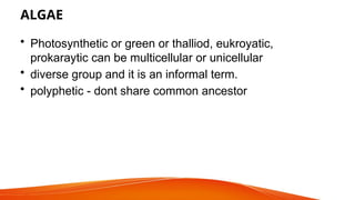 ALGAE AS A SOURCE OF PHYCOCOLLIDS.pptx01 | PPT