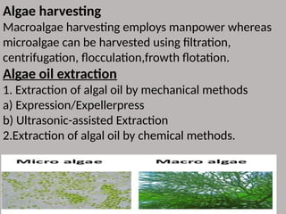 Algae as medicine and biofuel. Presentation | PPTX