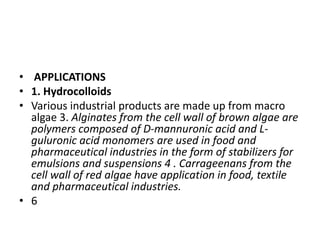 Algae as source of drug | PPTX