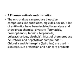 Algae as source of drug | PPTX