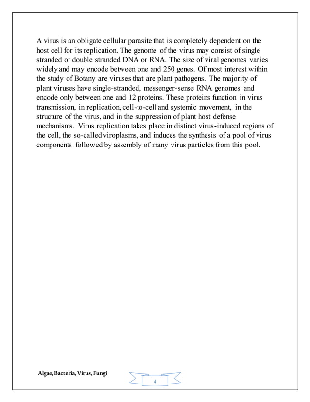 Algae bacteria fungi virus | DOCX | Biological Sciences | Science