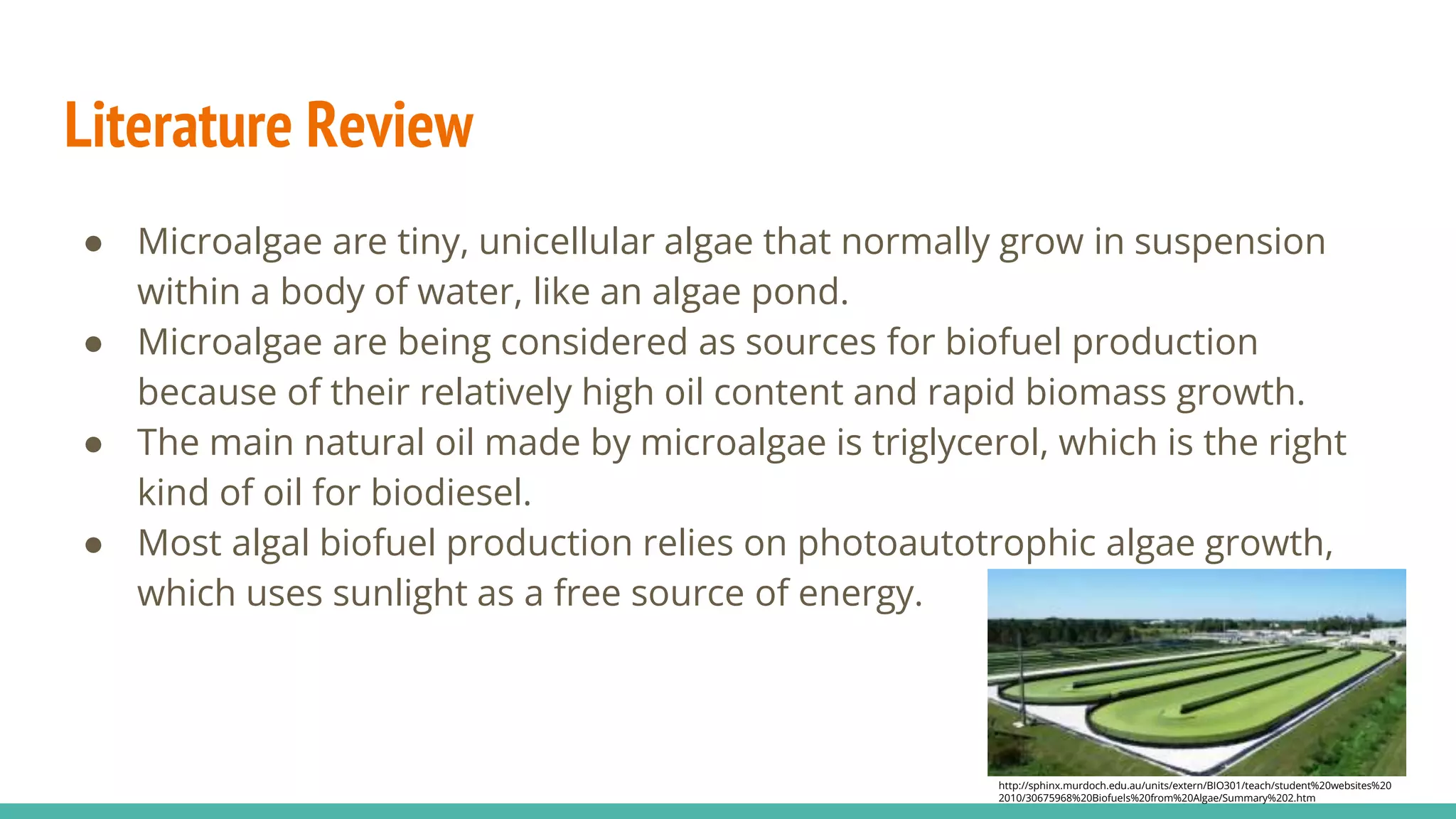 Algae biodiesel project | PPTX