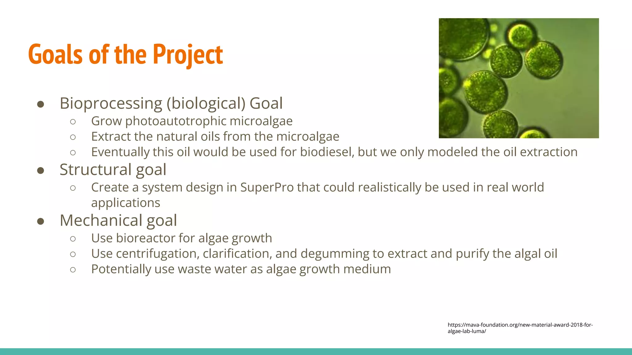 Bioprocessing Project | PPTX