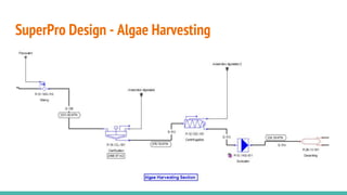 Bioprocessing Project | PPTX