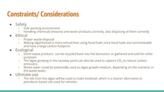 Bioprocessing Project | PPTX
