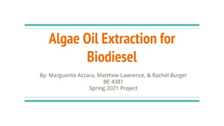 Algae Biodiesel Project | PPTX