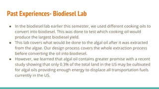 Algae Biodiesel Project | PPTX | Chemistry | Science