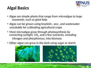 algaebiofuel-150417034842-conversion-gate01.pptx