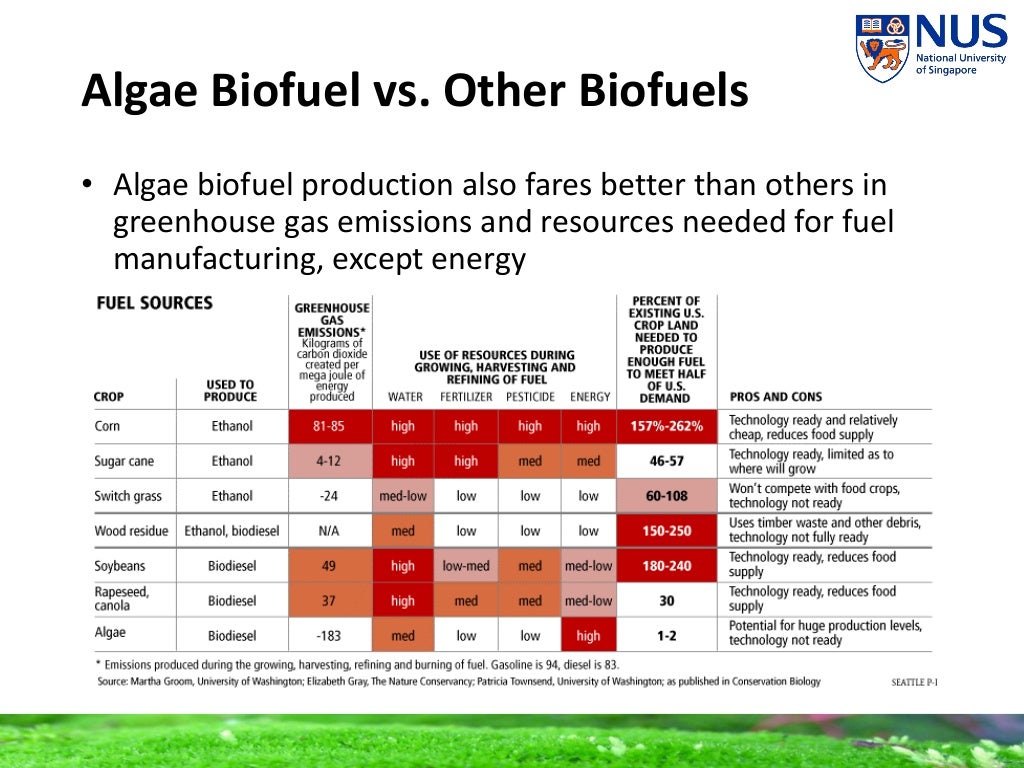 Algae Biofuels