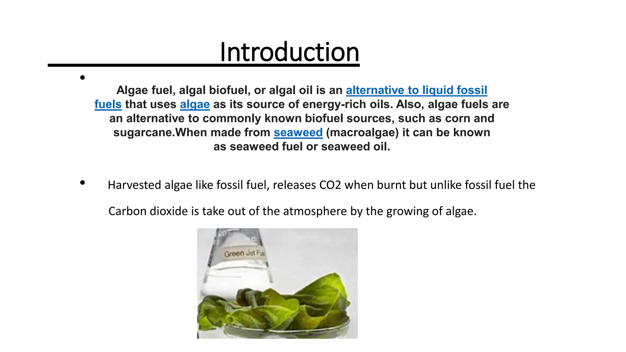 Algae biofuel.pptx
