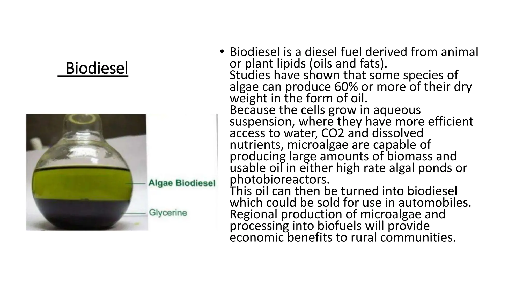 Algae biofuel.pptx