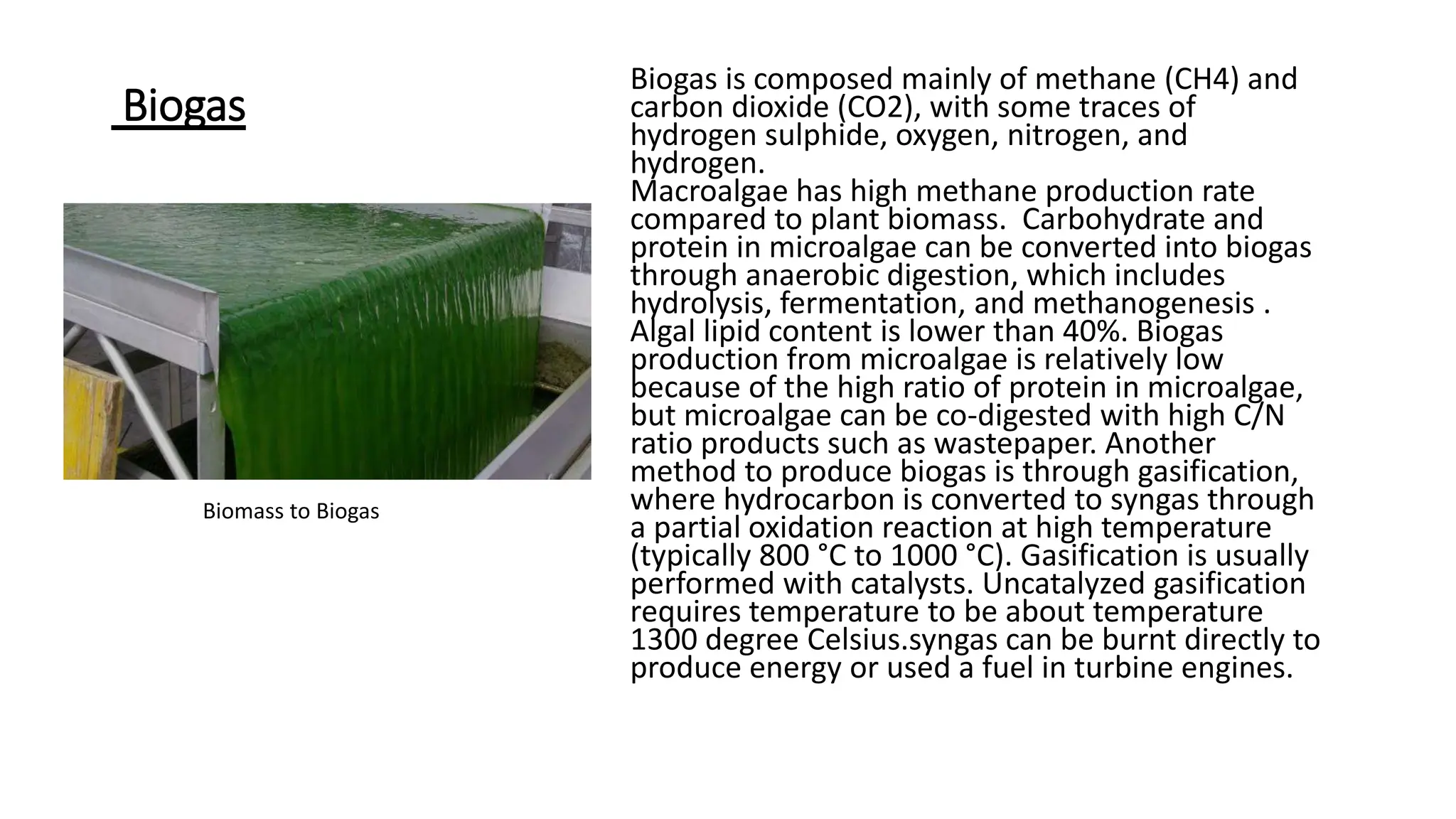 Algae biofuel.pptx