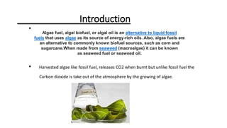 Algae biofuel.pptx