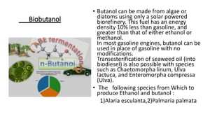 Algae biofuel.pptx