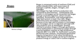 Algae biofuel.pptx