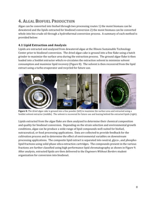 Algae Biofuels Project Final report.pdf penelitian | PDF