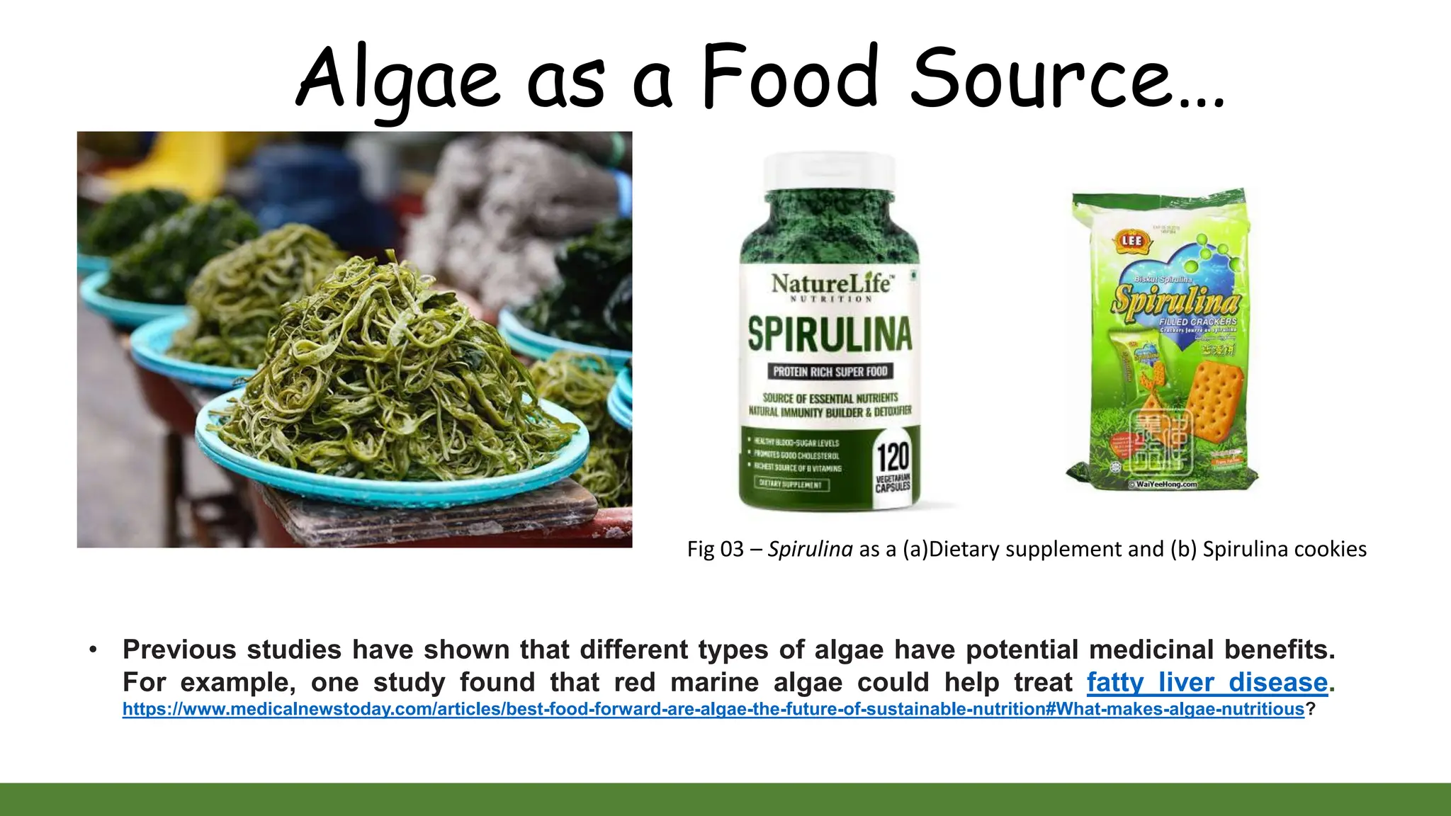 Algae Biotechnology | PPTX