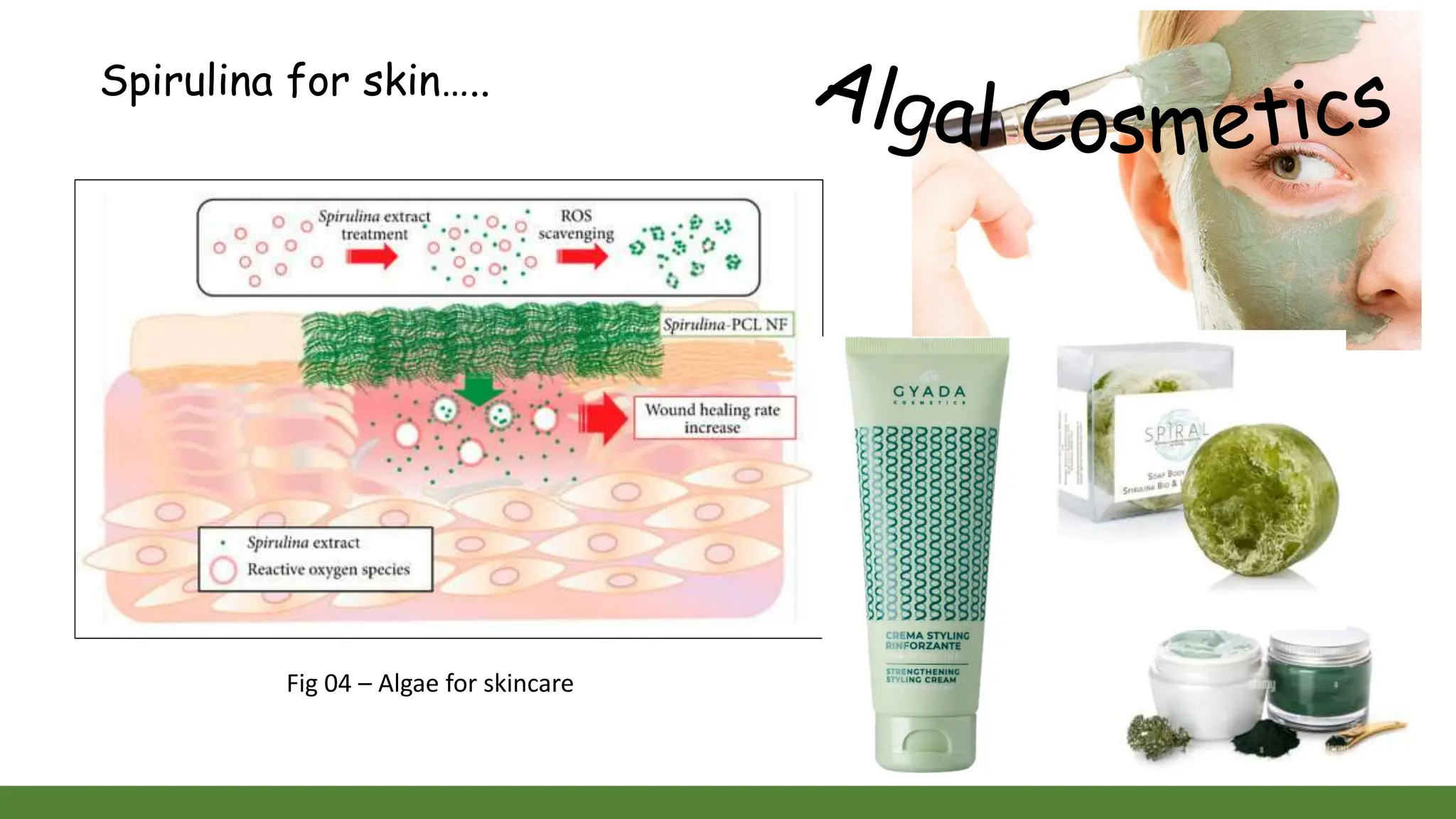 Algae Biotechnology | PPTX