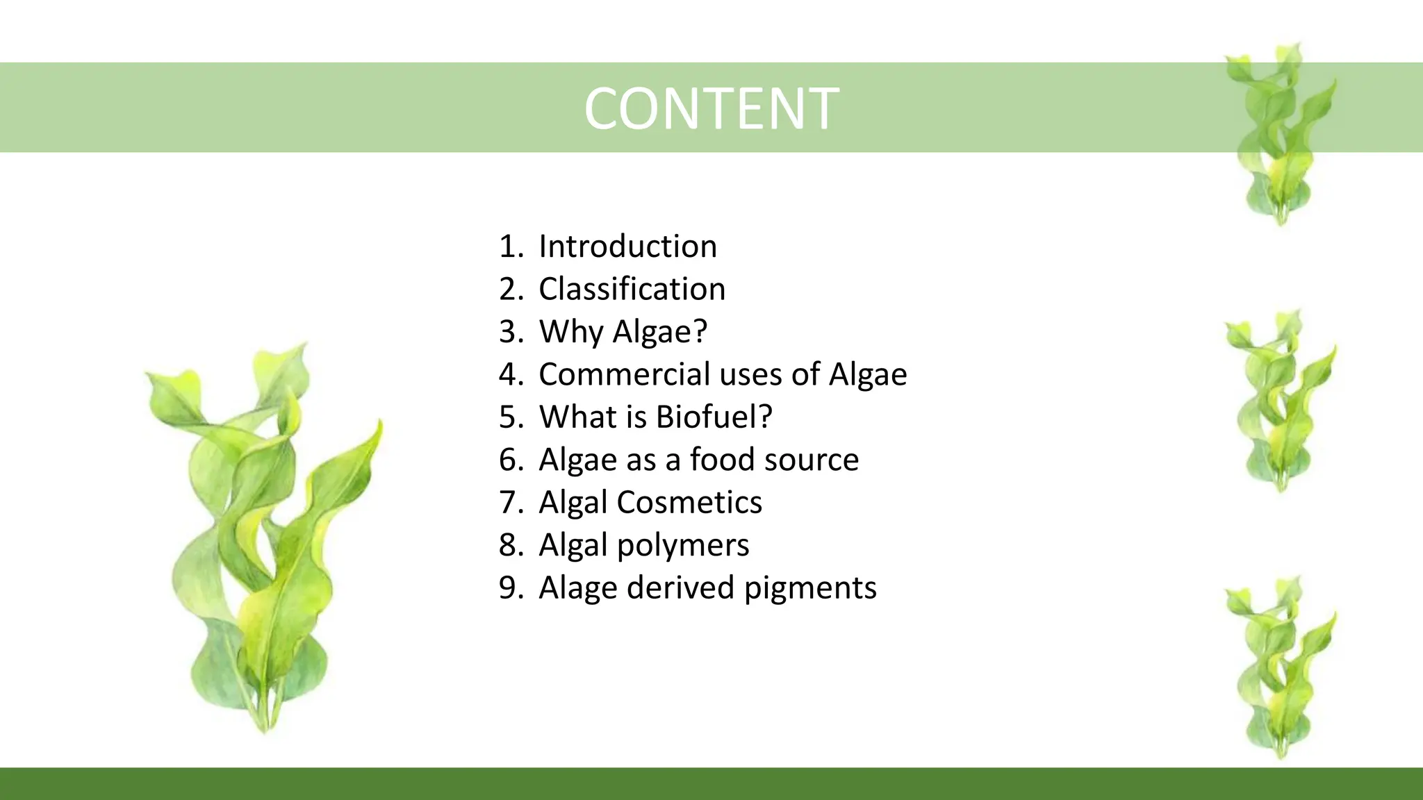 Algae Biotechnology | PPTX
