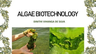 Algae Biotechnology | PPTX