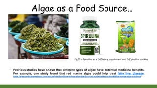 Algae Biotechnology | PPTX