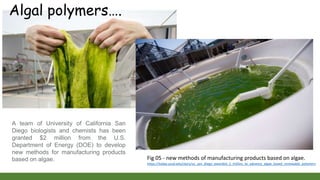 Algae Biotechnology | PPTX