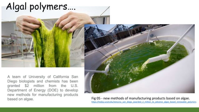 Algae Biotechnology | PPTX
