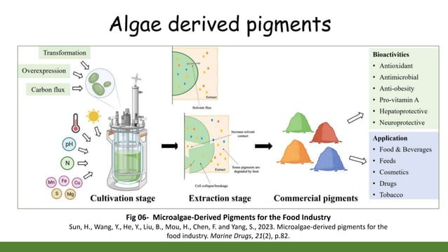 Algae Biotechnology | PPTX