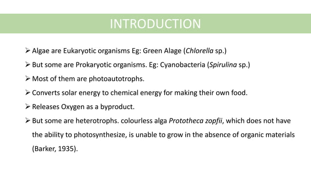 Algae Biotechnology | PPTX