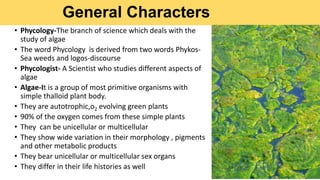 Algae bsc 1 | PPTX