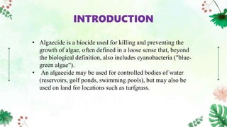 ALGAECIDES.pptx