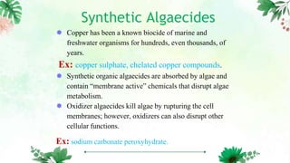 ALGAECIDES.pptx