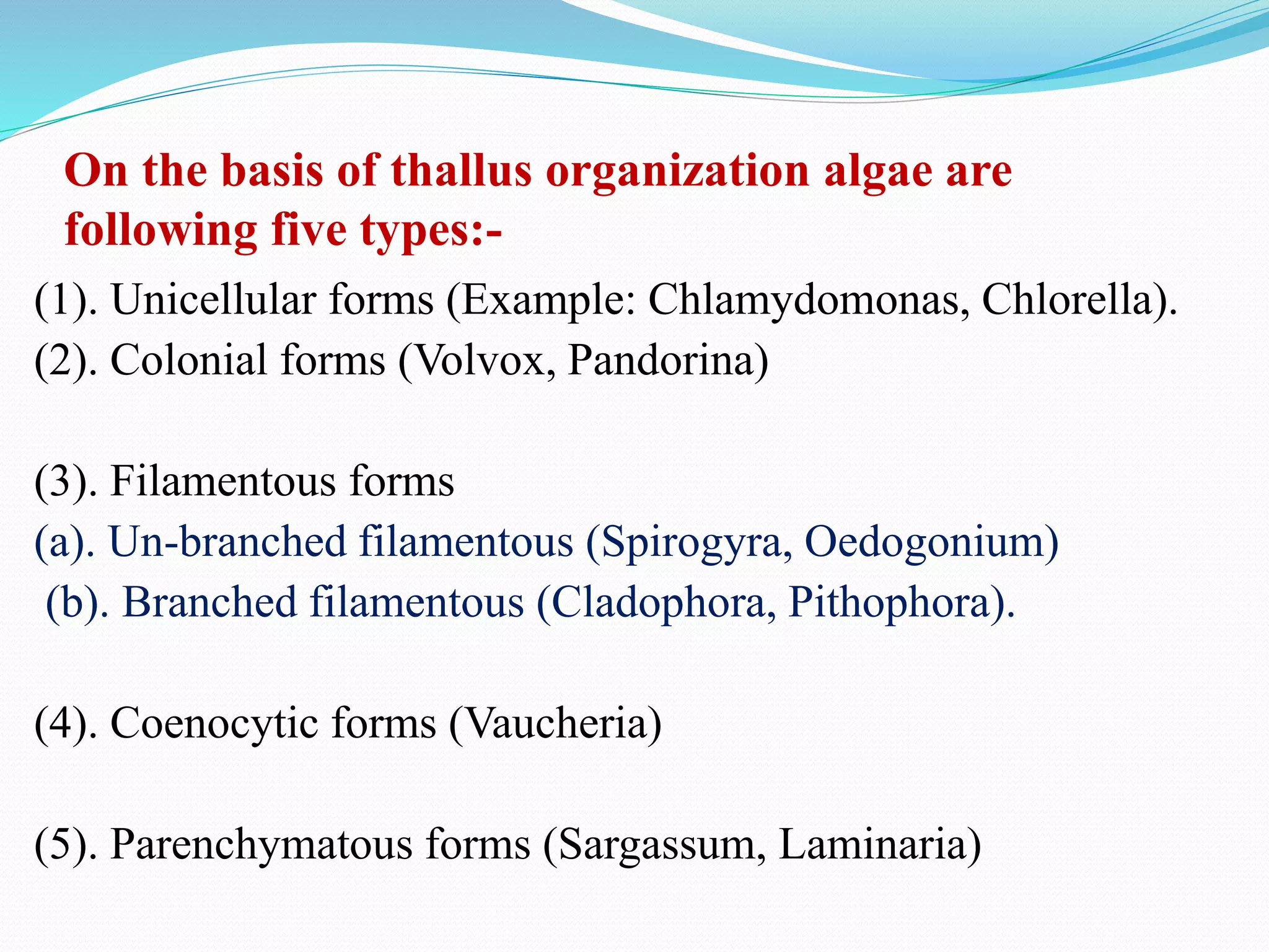 Algae classification features and reproduction of algae | PPTX