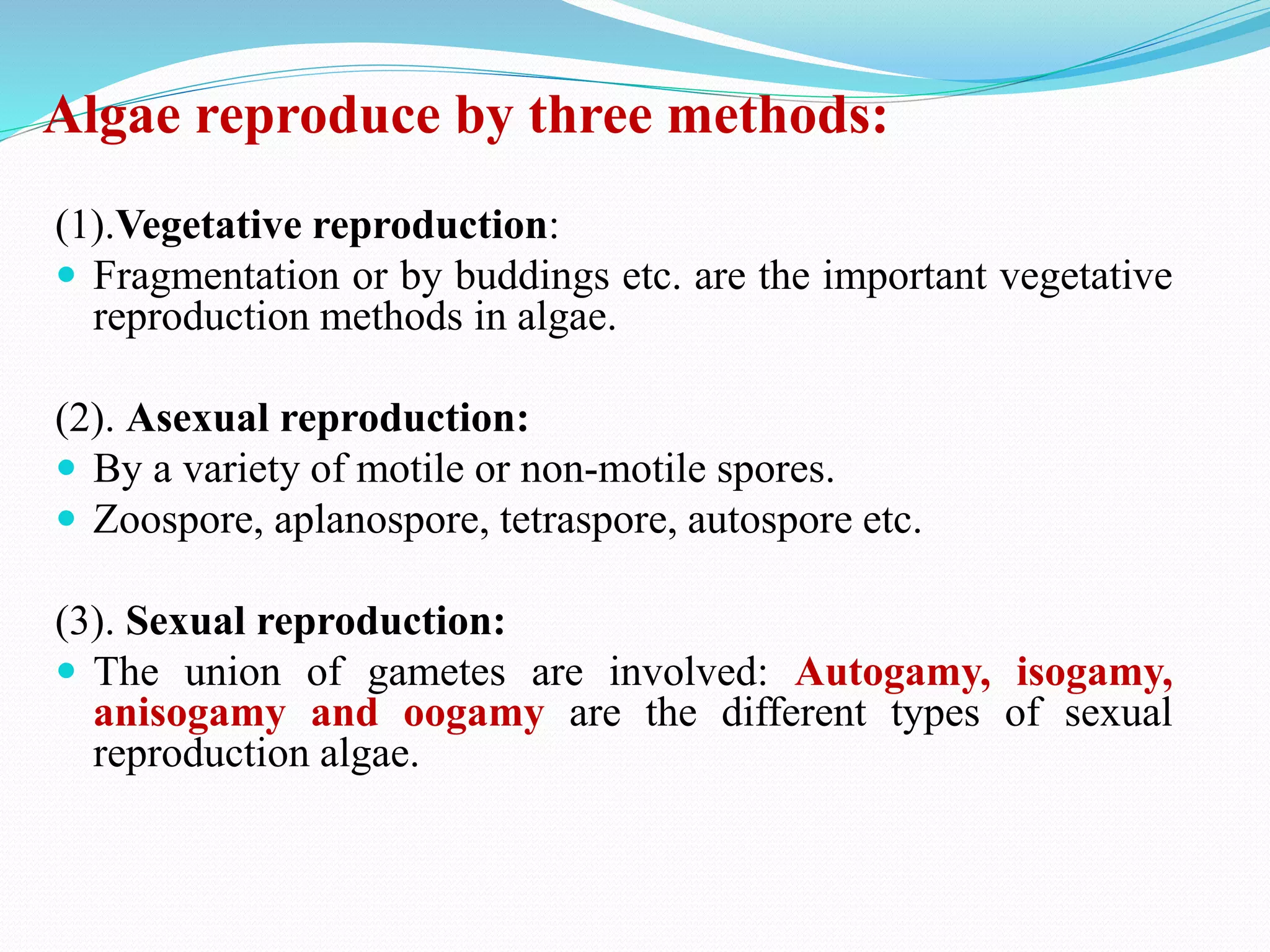 Algae classification features and reproduction of algae | PPTX