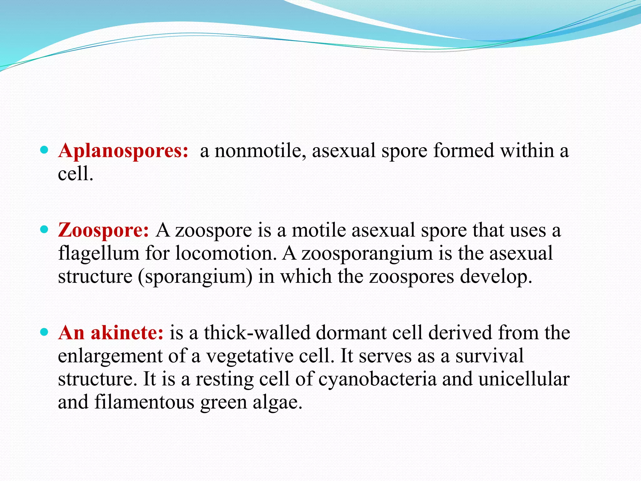Algae classification features and reproduction of algae | PPTX
