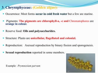 Algae classification features and reproduction of algae | PPTX