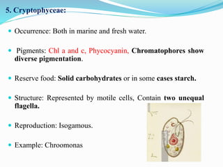 Algae classification features and reproduction of algae | PPTX