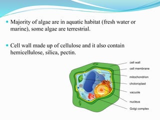 Algae classification features and reproduction of algae | PPTX