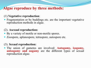 Algae classification features and reproduction of algae | PPTX ...