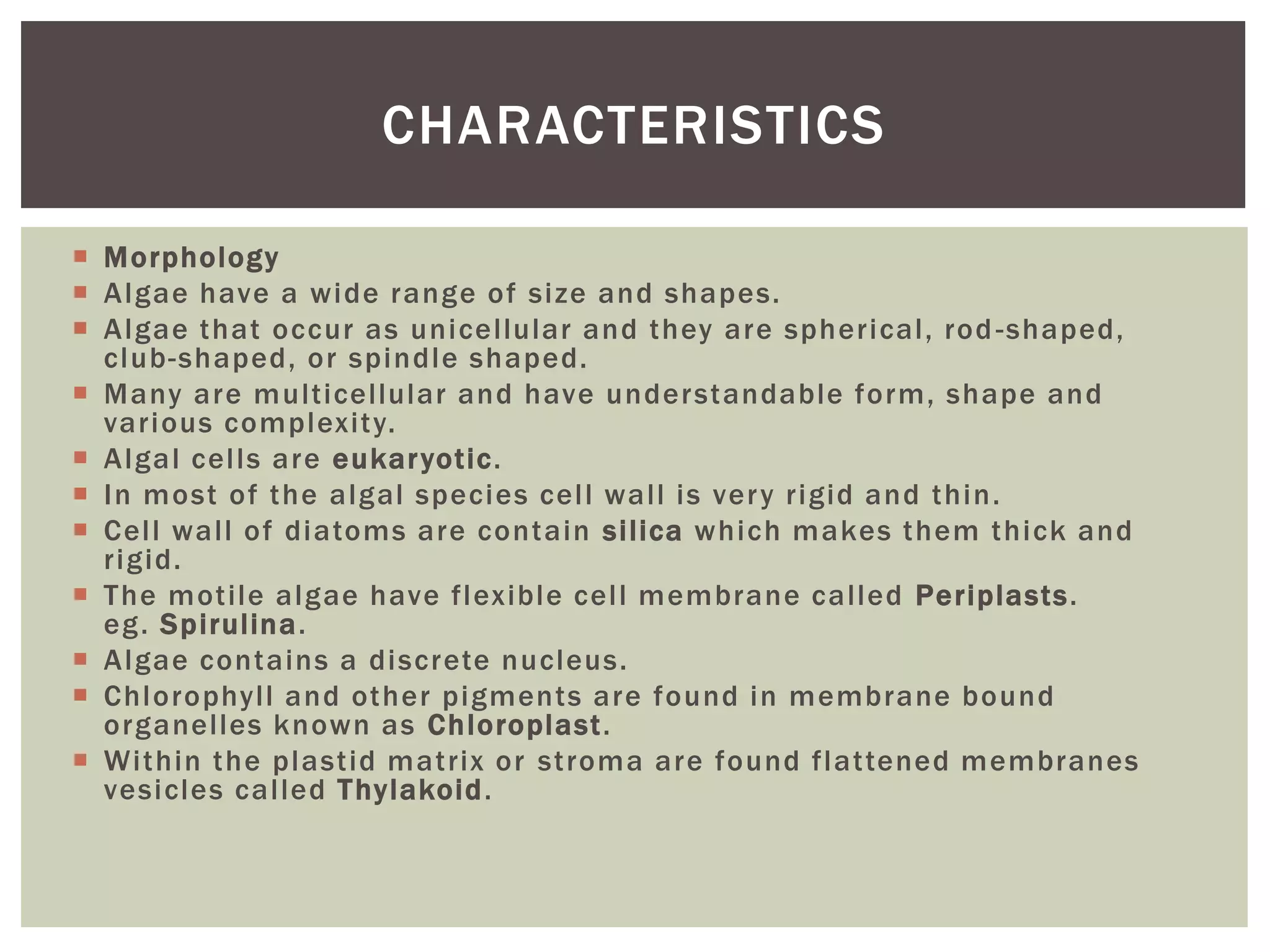 Algae classification | PPTX