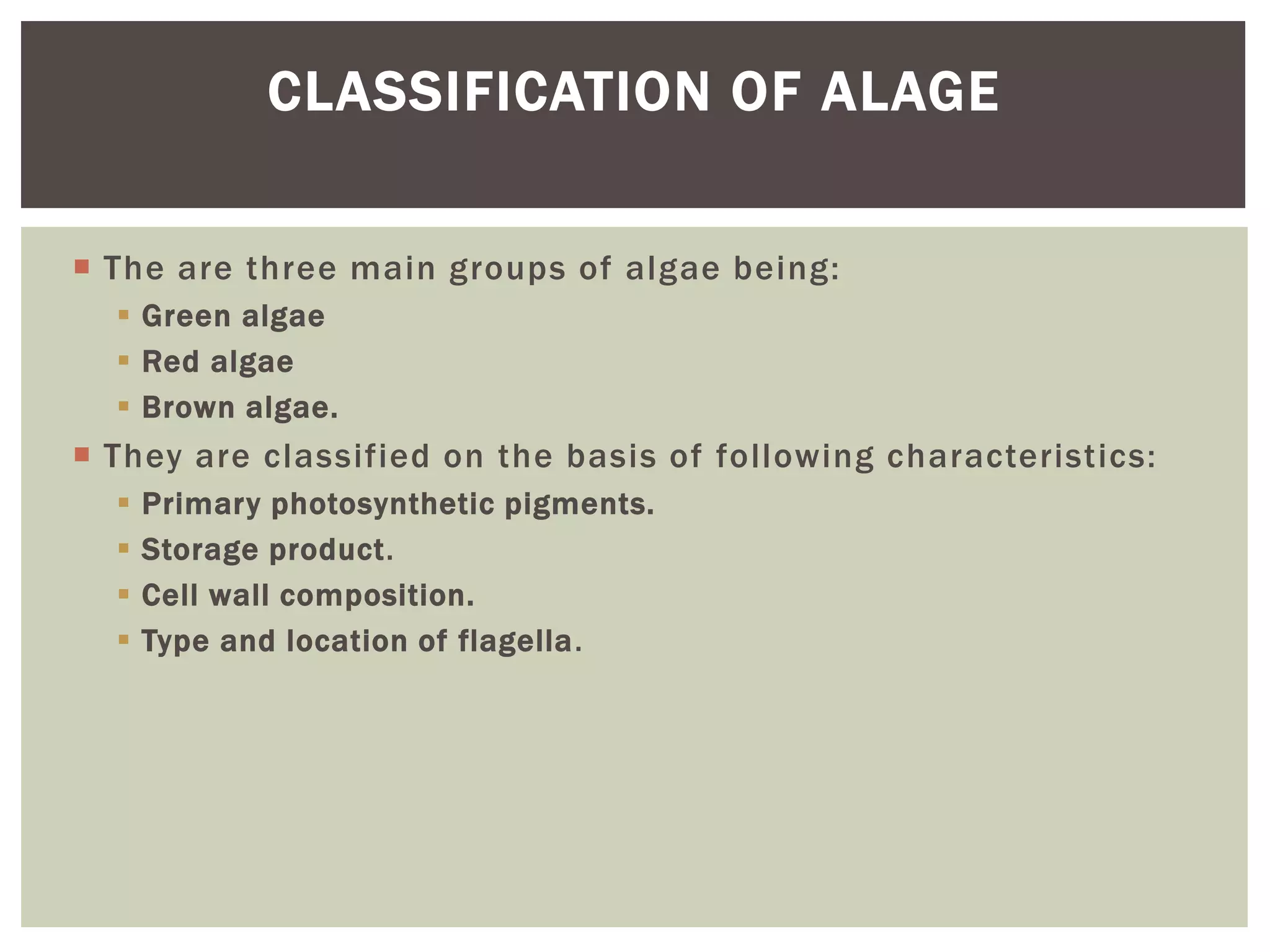 Algae classification | PPTX