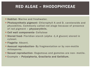 Algae classification | PPTX